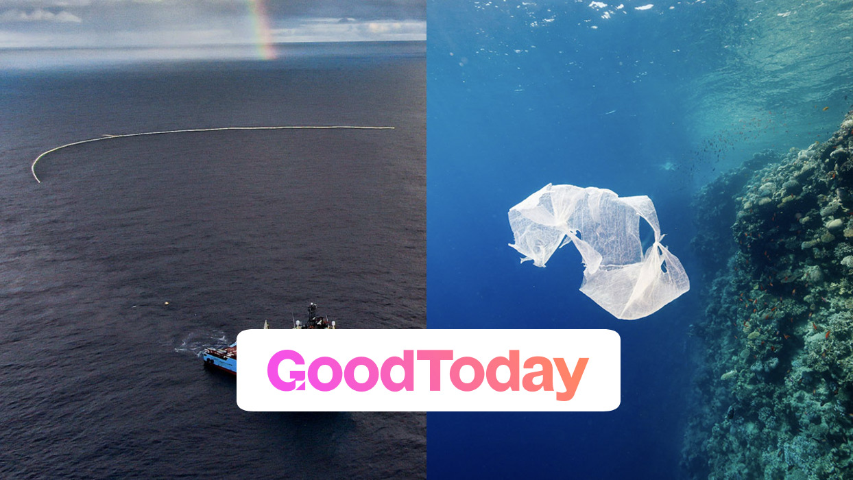 GoodToday - Earth Day: Ocean Protection